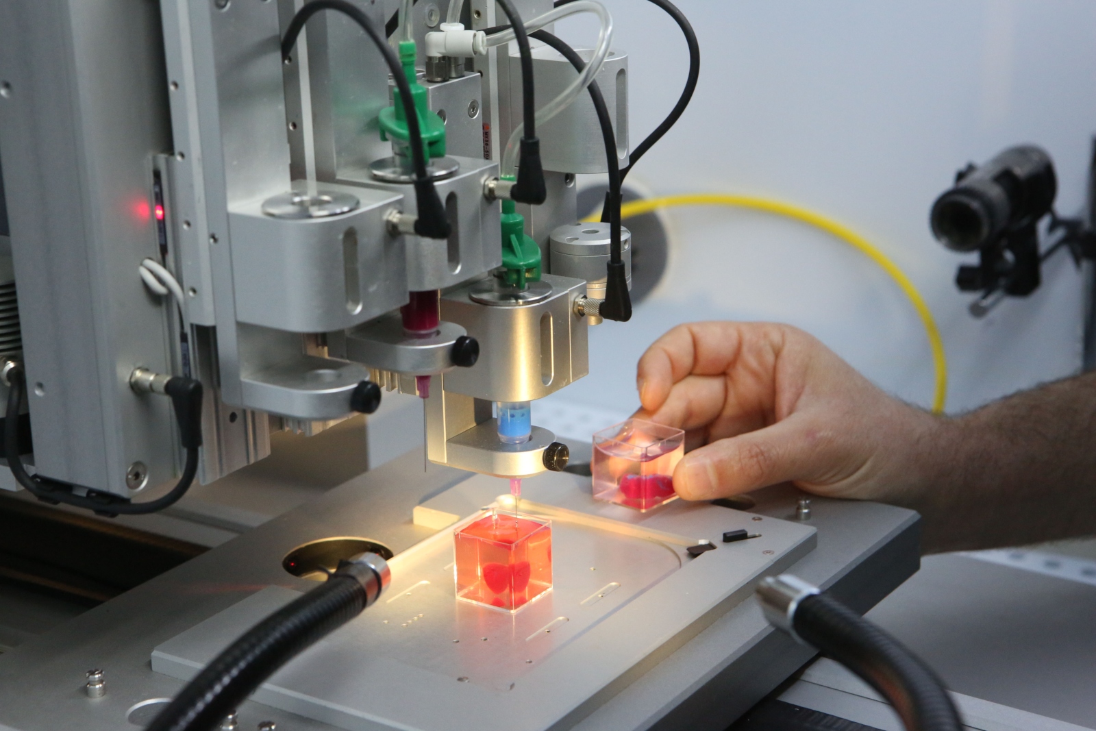 3D printing the human heart - SBBS